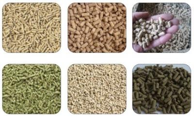 China Capacity 100---3500kg/h YSX Flat Die Extrusion Machine for Making Sugar Cane Waste Fertilizer Granules for sale