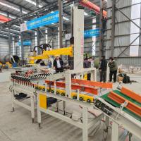 China Palletizer High Repeatability Palletizing Robot with Customized Color and Design for sale