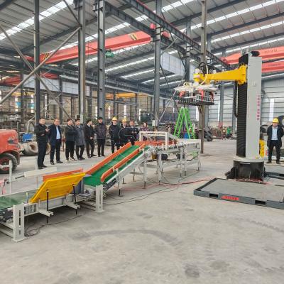 China Streamlined Packaging Line Automatic Carton Palletizer with Stainless Steel Material for sale