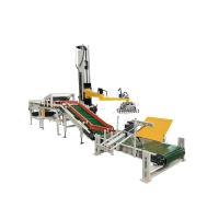 China Electric Driven Cartons Fertilizer Bottles Boxes Bags Servo Palletizer Stacking Machine for sale