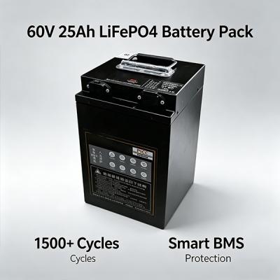 China 60V 25Ah LifePO4 Lithium Battery Pack 20S1P 40A BMS 800W for Electric Bicycle Tricycle for sale