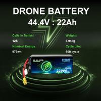 Quality Large Capacity 44.4V 22000mAh 976Wh Rechargeable Lithium Ion Battery Module for sale