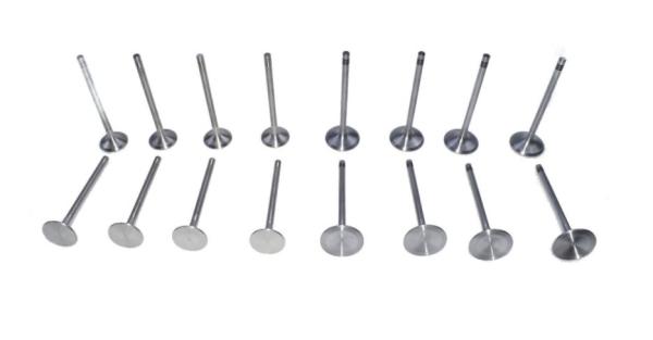 Quality EA888 Engine Valve Kit 06D109601M 06D109611L for Audi A4 A5 VW Golf GTI Tiguan for sale