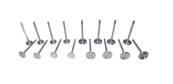 Quality EA888 Engine Valve Kit 06D109601M 06D109611L for Audi A4 A5 VW Golf GTI Tiguan for sale