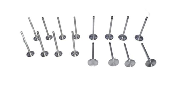 Quality EA888 Engine Valve Kit 06D109601M 06D109611L for Audi A4 A5 VW Golf GTI Tiguan for sale
