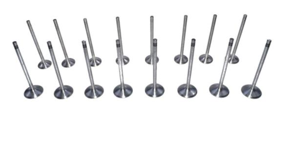 Quality EA888 Engine Valve Kit 06D109601M 06D109611L for Audi A4 A5 VW Golf GTI Tiguan for sale