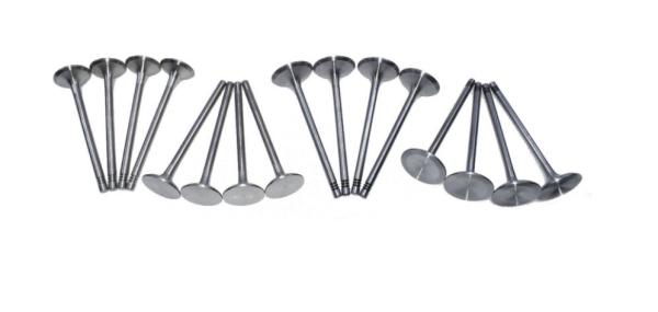 Quality EA888 Engine Valve Kit 06D109601M 06D109611L for Audi A4 A5 VW Golf GTI Tiguan for sale