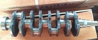 Cina B10S B10S1 Crankshaft 96325203 25192922 for Daewoo Chevrolet Matiz Spark 1.0L in vendita