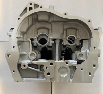 Cina R9M Testa del cilindro del motore 908331 AMC908331 11041-00Q1P 11041-1760R per Renault 1.6L in vendita