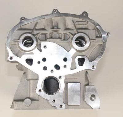 Cina BPJ Engine Cylinder Head 06F103063G 06F103063F 06F103063N 910700 for AUDI A3 C6 A4 S3 16V 2.0TSFI in vendita