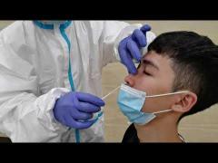Nasal Sample Collection for PCR and Rapid Test