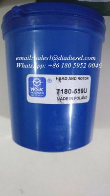 China High Quality Diesel Injection parts-head rotor 7180-559U for sale