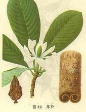China natural herbal Traditional Chinese Medicines bulk herbs supplier for sale