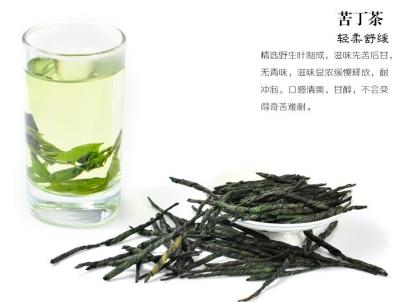 China natural Chinese broadleaf holly leaf colyx tea kuding tea for sale