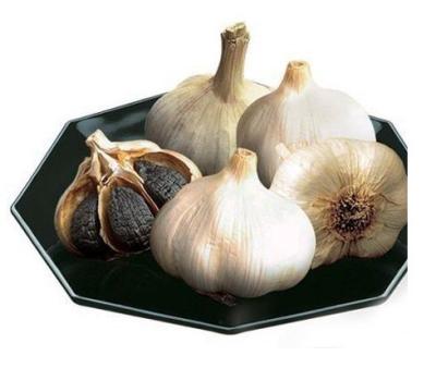 China natural organic fermented balck garlic for sale