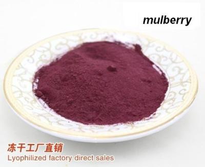 China OEM freeze dried fruits bakery food natural fruit powders for sale