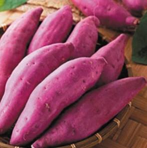 China natural organic purple sweet potato farm foods for sale