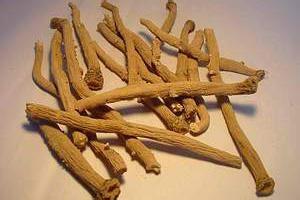 China natural herbal medicinal edible tea Radix Isatidis honeysuckle Eleutherococcus Gynostemma for sale