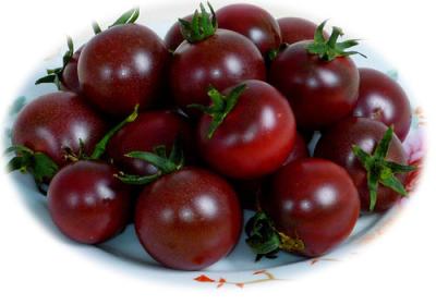 China natural organic black tomato farm foods for sale