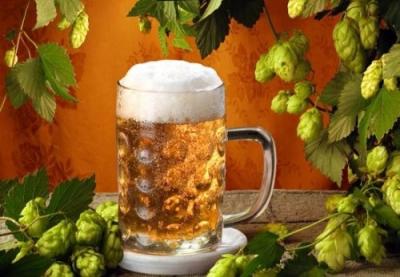 China natural China humulus lupulus beer hops dried flower pellets export for sale