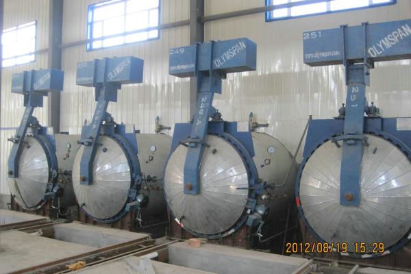 Industrial Insulated AAC Autoclave With Autoclaved Aerated Concrete Block ASME standard