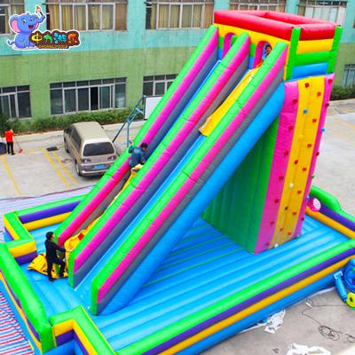 China Outdoor Giant Inflatable Pool Slide Adults Bouncer Rock Climbing for sale