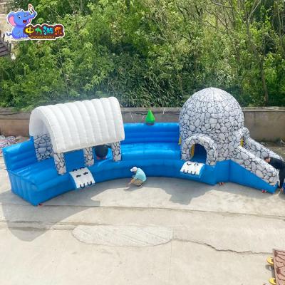 China Penguin Theme Inflatable Water Slide Inflatable Water Park Inflatable Slide for sale