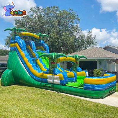 China Outdoor Double Slides Inflatable Water Slide Unisex Inflatable Pool Slide for sale