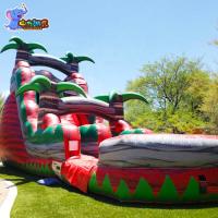 China Custom Inflatable Water Slide with Pool for Kids 5-15 CE Certified for sale