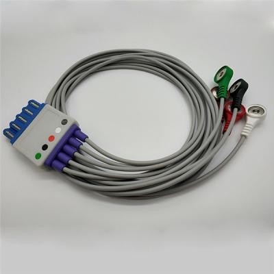China HP/PH compatibles Ecg lleva estándar médico de AHA 6 meses de garantía en venta