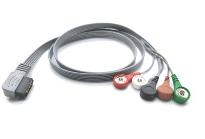 Chine 5 câble ISO13485 PH DigiTrak XT de Holter ECG d'agrafe de rupture du CEI AHA d'avances à vendre