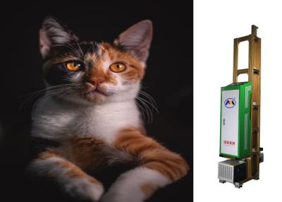 Chine Laser automatique de haute résolution silencieux plaçant l'imprimante Robot de mur à vendre