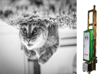 Chine imprimante UV de mur d'affichage à cristaux liquides de pouce 1700mm de la verticale 7 de 3d 4d à vendre