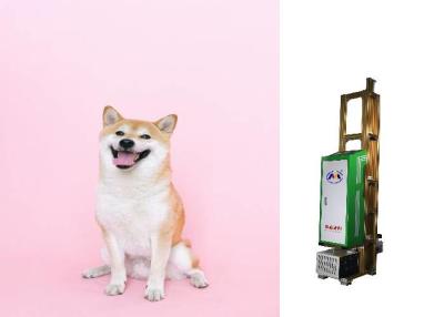 Chine 2880 matériaux UV verticaux de For Various Planar d'imprimante de mur de Dpi à vendre