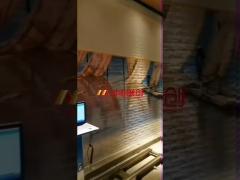 3D wal inkjet printer sliced photo painting for oversized picture