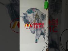 Macchine di stampa UV-Automatic con combinazione di colori