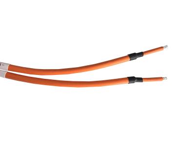 Cina 1000V 70A IP67 fiocchi arancioni armadio di stoccaggio dell'energia isolato in vendita