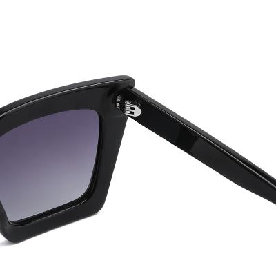 Cina Rim Square Acetato Occhiali da sole Durable pieno, Occhio di gatto Oversized Shades Glasses in vendita