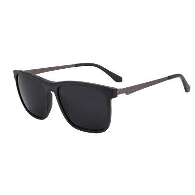 Cina OEM uv di Ray Occhiali da sole Hypoallergenic del quadrato dell'acetato per gli uomini delle donne in vendita