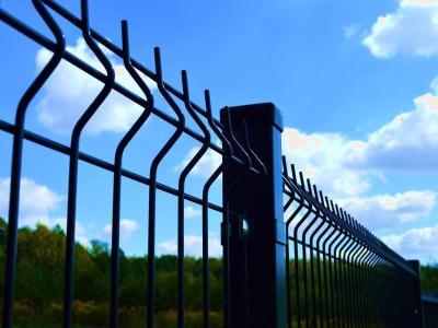 Cina Acciaio Galvanizzato Metallo Recinzioni da giardino Pannelli esterni PVC Rivestito V Piega 3d Curvo Saldato Recinzione a maglia in vendita