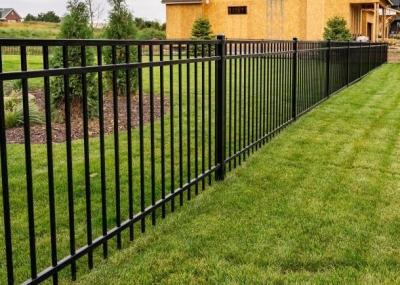 China Powder Coated Black Wrought Iron Ornamental Fence Easy Installation for sale