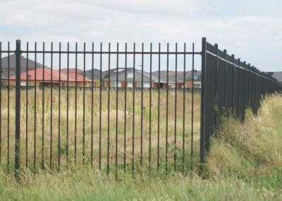 Cina Low Maintenance Pool Steel Wrought Iron Fence With Flattened Spear in vendita