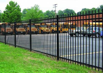 Cina Low Maintenance Pool Steel Wrought Iron Fence With Flattened Spear in vendita