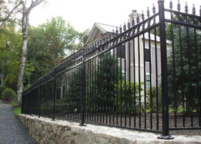Chine Beautifully 5′ X 8′ Ornamental Wrought Iron Fencing Q235 Low Carbon Steel à vendre