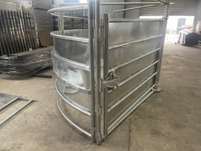 Cina Forza di sicurezza di rimozione di porta di alta qualità in vendita