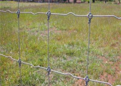 China Rustproof 6ft Height Hinge Joint Field Fence With Galvanized Wire for sale