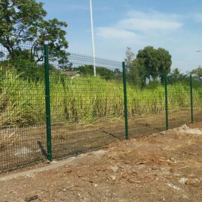 Cina L'OEM annerisce l'alto cavo saldato Mesh Fencing Clear View di 10ft in vendita