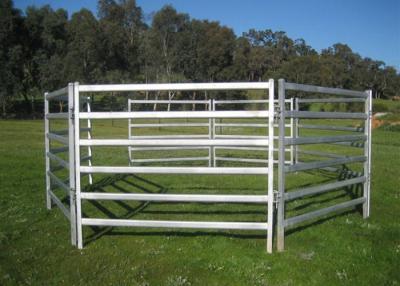 China 6 Rails 3m Tall Heavy Duty Cattle Panel Free Standing for sale