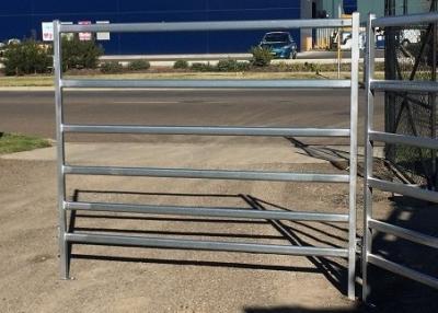 China 6 Rails 3m Tall Heavy Duty Cattle Panel Free Standing for sale