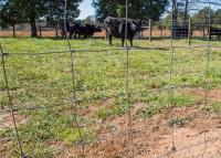 China 1.5m Height Farm Galvanized Design Cattle Mesh Fencing for sale